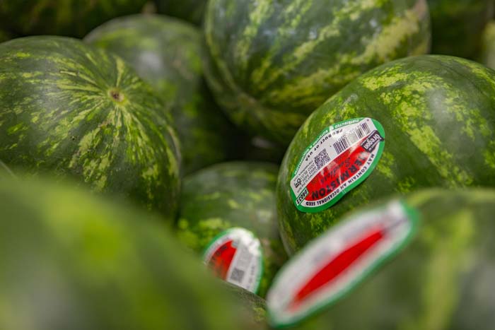 Watermelon season arriving late this year | Hermiston Herald