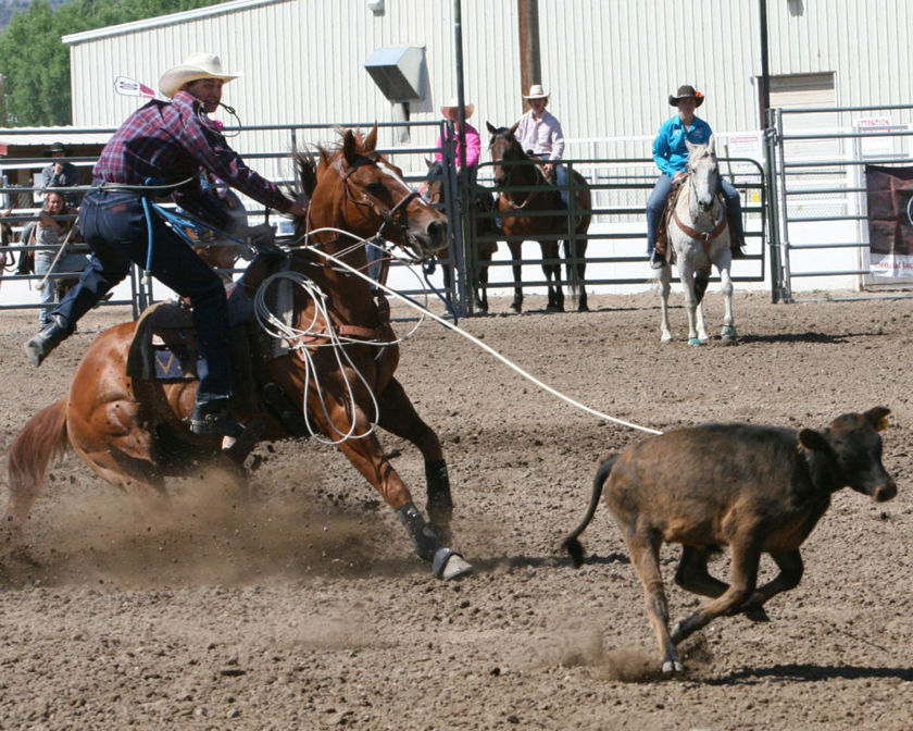 Intermountain rodeo sending 17 to nationals | Hermiston Herald